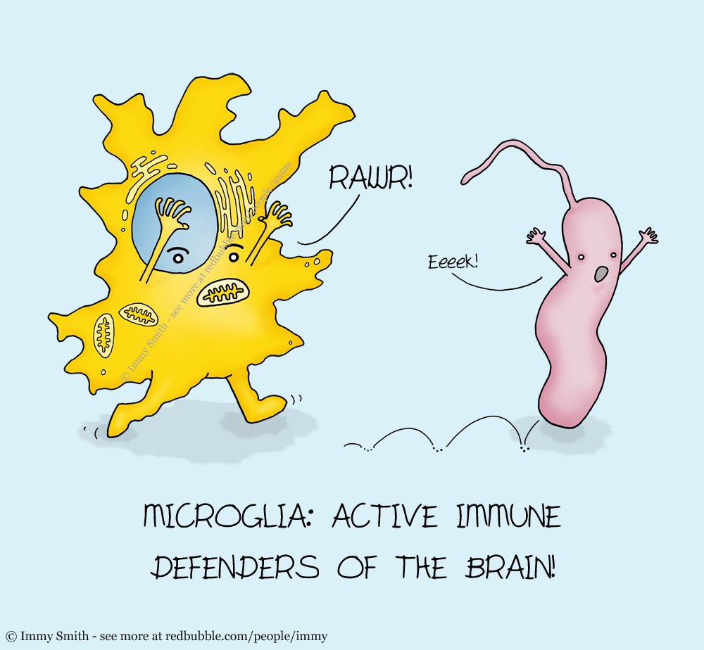 Innate Vs Adaptive Immunity Cartoon